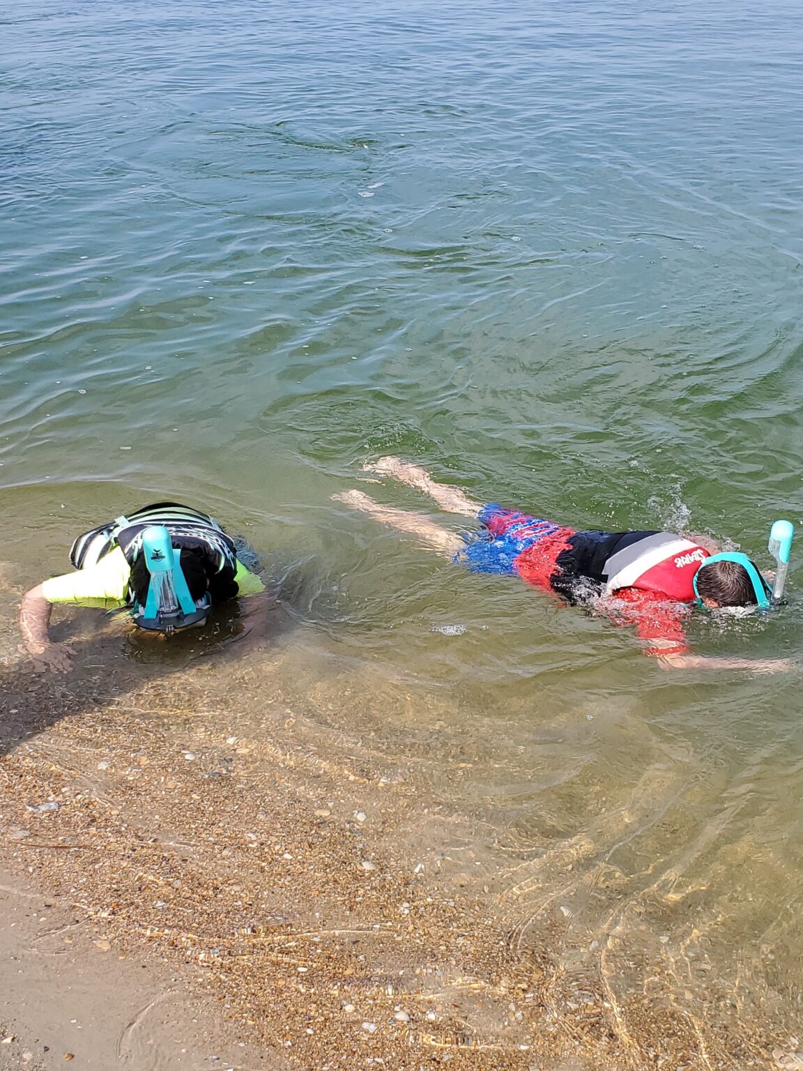Fishing & Shelling in Hatteras Island, NC | Family Water Adventures